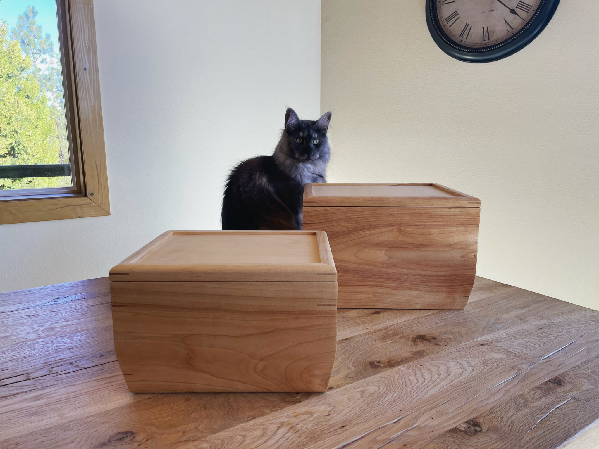Golden Sol II Altar Box Sets - Sphere + Sundry